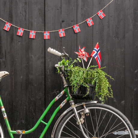 17.mai og flaggregler | Nille